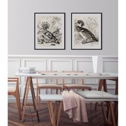 queence Bild &raquo;Donald&laquo; Kunst Vogelbilder V&ouml;gel historische Ereignisse 1 Stk. tlg. HD Premium Poster-Druck inkl. Holzrahmen grau Acrylglas, Holz, Papier