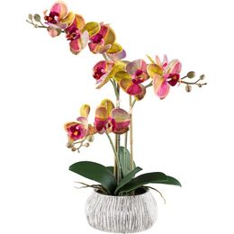 Creativ green Kunstorchidee &raquo;Orchidee Phalaenopsis&laquo; mit au&szlig;ergew&ouml;hnlicher Zementschale gelb Kunststoff