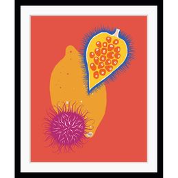 queence Bild &raquo;Daria&laquo; Kunst Lebensmittel Obst Obst Bilder HD Premium Poster-Druck inkl. Holzrahmen Farbe Rahmen: schwarz + Farbe Bild(er):...