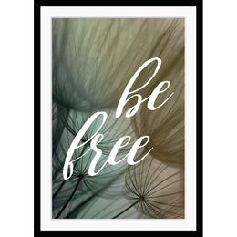 queence Bild &raquo;be free&laquo; Motivationsbilder Pflanzenbilder Schriftzug Spr&uuml;che & Texte HD Premium Poster-Druck inkl. Holzrahmen Farbe Rahmen:...