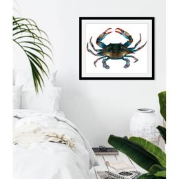 queence Bild &raquo;Mr. Krabs&laquo; Kunst Meer Wassertiere 1 Stk. tlg. HD Premium Poster-Druck inkl. Holzrahmen blau Acrylglas, Holz, Papier