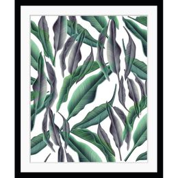 queence Bild &raquo;Julia&laquo; Bl&auml;tter Kunst Pflanzen Pflanzenbilder HD Premium Poster-Druck inkl. Holzrahmen Farbe Rahmen: schwarz + Farbe Bild(er): gr&uuml;n