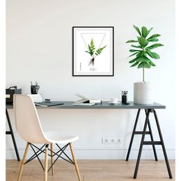 queence Bild &raquo;Pteridophyta&laquo; Pflanzen Pflanzenbilder Schriftzug 1 Stk. tlg. HD Premium Poster-Druck inkl. Holzrahmen gr&uuml;n Acrylglas, Holz, Papier