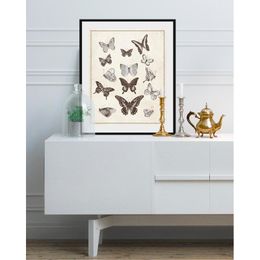queence Bild &raquo;Pamela&laquo; Insekten Kunst Schmetterlinge historische Ereignisse 1 Stk. tlg. HD Premium Poster-Druck inkl. Holzrahmen grau Acrylglas, Holz, 