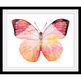 queence Bild &raquo;Elli&laquo; Insekten Kunst Schmetterlinge 1 Stk. tlg. HD Premium Poster-Druck inkl. Holzrahmen Farbe Rahmen: schwarz + Farbe Bild(er):...
