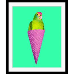 queence Bild »Merle« Eis Foto Kunst Papageien Süßigkeiten Süßspeisen Vogelbilder Vögel HD Premium Poster-Druck inkl. Holzrahmen Farbe...