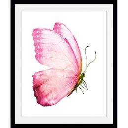 queence Bild &raquo;Apache&laquo; Insekten Kunst Schmetterlinge Schwarz-Wei&szlig; 1 Stk. tlg. HD Premium Poster-Druck inkl. Holzrahmen rosa Acrylglas, Holz, Papier