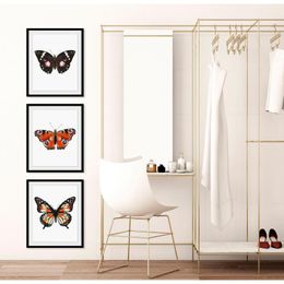 queence Bild &raquo;Anastasia&laquo; Insekten Kunst Schmetterlinge Schwarz-Wei&szlig; 1 Stk. tlg. HD Premium Poster-Druck inkl. Holzrahmen Farbe Rahmen:...