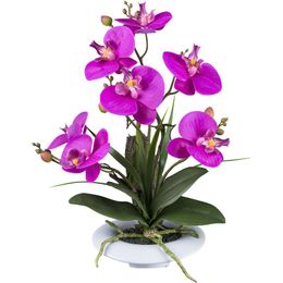 Creativ green Kunstorchidee &raquo;Orchidee Phalaenopsis&laquo; in au&szlig;ergew&ouml;hnlicher Keramikschale lila Kunststoff