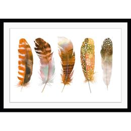 queence Bild &raquo;Bruno&laquo; Federn Kunst HD Premium Poster-Druck inkl. Holzrahmen Farbe Rahmen: schwarz + Farbe Bild(er): blau-lila