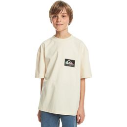 Quiksilver T-Shirt &raquo;Back Flash&laquo; wei&szlig; 10 10 Kollektion: &bdquo;Heat Wave"-Kollektion