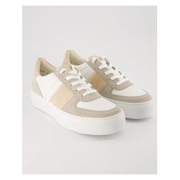 Paul Green Sneaker low in Beige | Gr.: 37,5