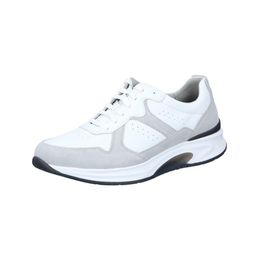 Pius Gabor Schnürschuhe, Sneakers Low in lt.grey/white | Gr.: 45