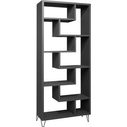 M&auml;usbacher Raumteiler M&Auml;USBACHER "Tetrix", grau (anthrazit matt lack), B:89cm H:205cm T:33cm, Regale, Raumteiler, Breite 89 cm