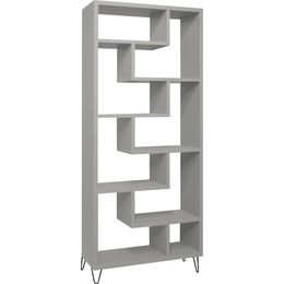 M&auml;usbacher Raumteiler M&Auml;USBACHER "Tetrix", grau (kreidegrau matt lack), B:89cm H:205cm T:33cm, Regale, Raumteiler, Breite 89 cm