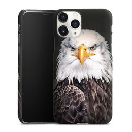 DeinDesign iPhone 11 Pro Handy Premium Case Smartphone Handyh&uuml;lle Schutzh&uuml;lle matt Animals Bird Eagle Premium Case