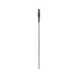 Bosch PRO Wood HSS Schalungs- und Installationsbohrer, &Oslash; 22mm L&auml;nge 600mm