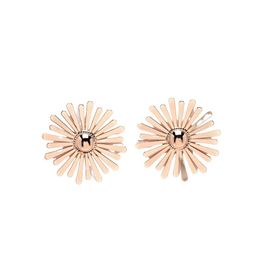 Avant-garde Paris Earrings 'Edytana' female Gold size One Size