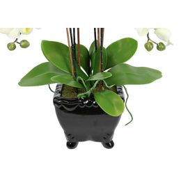 Kunstblume I.GE.A., B:20cm H:60cm L:18cm, wei&szlig;, Polyester, Kunstpflanzen, "K&uuml;nstliche Orchidee in Schale Phalaenopsis Kunstblume Blume",