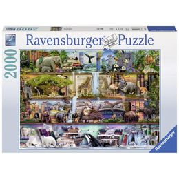 Ravensburger Kinder Puzzle "Aimee Stewart, Großartige Tierwelt", bunt, Pappe, B:80cm H:60cm, Puzzles, Made in Germany