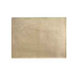 CS Schmal como Hochflorteppich Bunny beige Synthetische Fasern Ma&szlig;e (cm): B: 120 Accessoires > Teppiche f&uuml;r das Wohnzimmer &raquo; Sofa DE