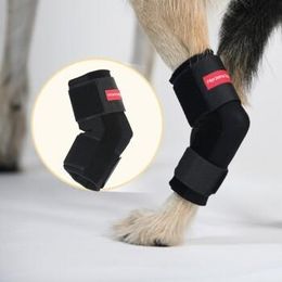 HerzensTier Sprunggelenkbandage Neopren XS