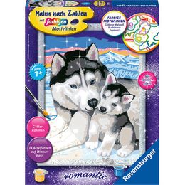 Ravensburger Malen nach Zahlen-Set "Husky Kuss" - ab 7 Jahren - 11% | Kinder-kreativspielzeug