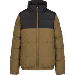 Trespass Winterjacke "Harding Casual Padded Jacket" in Gr&uuml;n | Gr.: XS