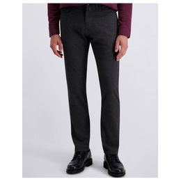 Pierre Cardin Hose Lyon in Gray Pinstripe | Gr.: W38/L30