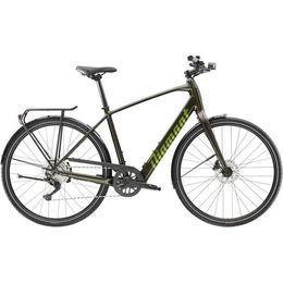 Diamant 365 Deluxe 250 Wh E-Bike 28" oxidgr&uuml;n metallic L | Dienstrad-Leasing m&ouml;glich
