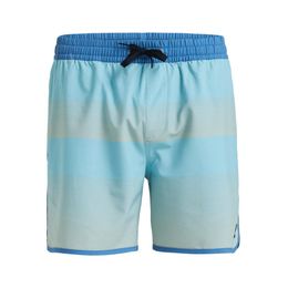 Quiksilver Board Shorts male Blue size L