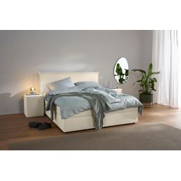 Boxbett s.Oliver "Alissia", beige, B:158cm L:206cm, Komplettbetten, Boxbett mit Bettkasten, inkl. Topper