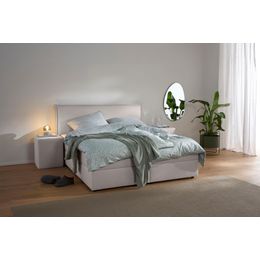 Boxbett s.Oliver "Alissia", grau, B:218cm L:206cm, Komplettbetten, Boxbett mit Bettkasten, inkl. Topper