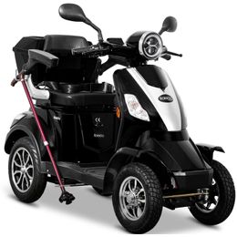Rolektro Elektromobil "Rolektro E-Quad 25 V.2, Blei-Gel-Akku", B:84cm H:118cm L:156cm, schwarz, Elektromobile