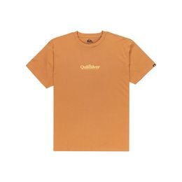 Quiksilver Jungen T-Shirt "Ev Fineline", braun, Gr. 14, 100% Baumwolle, Shirts