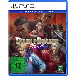 ASTRAGON Spielesoftware &raquo;Double Dragon Revive - Limited Edition&laquo; PlayStation 5 ohne Farbbezeichnung Die Limited Edition enth&auml;lt die Vollversion,...