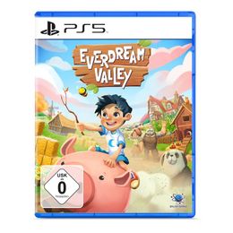 Quelle Spielesoftware »Everdream Valley« PlayStation 5 (ohne Farbbezeichnung) Nachts erwacht die Magie: Bei Nacht kommt die Magie des Tals zum...