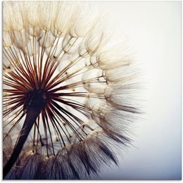 Artland Glasbild &raquo;Gro&szlig;e Pusteblume&laquo; Blumen 1 Stk. tlg. in verschiedenen Gr&ouml;&szlig;en Farbe Bild(er): blau