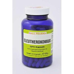 Hecht-Pharma Eleutherokokkus Gph Kapseln 360 St