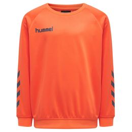 Hummel Sweatshirt Raglan&auml;rmel Hmlpromo Kinder in NASTURTIUM **DO NOT USE | Gr.: 164