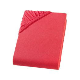 Carpe Sonno Jersey Spannbettlaken in Rot | Gr.: 90 x 200 cm