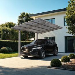 XIMAX Einzelcarport 'Linea Typ 80 SC' edelstahlfarben 273 x 495 x 294 cm
