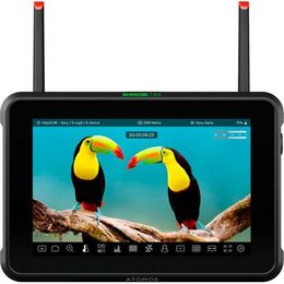 Atomos Shinobi 7RX