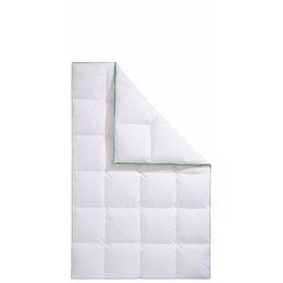fj&ouml;dur Daunenbettdecke FJ&Ouml;DUR, B:200cm L:200cm, wei&szlig;, Bezug: 100% Baumwolle. F&uuml;llung: 80% Daunen, 20% Federn, Bettdecken, "Fee, Bettdecke 135x200, 155x220