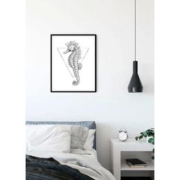Komar Bild "Sea Horse White", B/H/T: 40cm x 50cm, Tiere, 1 Stk., silber, Wohnzimmer, Bilder, Wandbild zur Dekoration - ohne Rahmen