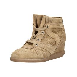 Schn&uuml;rstiefelette Pavement "Pavement Stiefelette Veloursleder", Damen, Gr. 39, hellbraun, Veloursleder, Schuhe Schn&uuml;rstiefelette