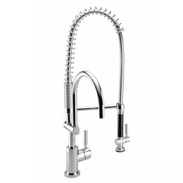 Dornbracht Tara Classic K&uuml;chenarmatur Profi, schwenkbar, 33880888-00, Profi