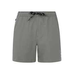 Protest Board Shorts 'PRTWytona' male Grey size S