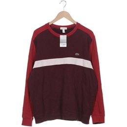 Lacoste Sweater Herren Gr&ouml;&szlig;e XXL Second Hand bordeaux