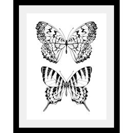 queence Bild &raquo;Schmetterlinge&laquo; Insekten Kunst Schmetterlinge Schwarz-Wei&szlig; Tiere HD Premium Poster-Druck inkl. Holzrahmen schwarz Acrylglas, Holz, 